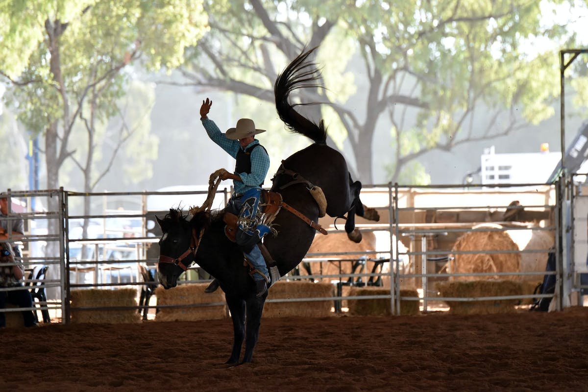 Nebo Rodeo, Sat 20th May 2023 - Sun 21st May 2023 10:00am