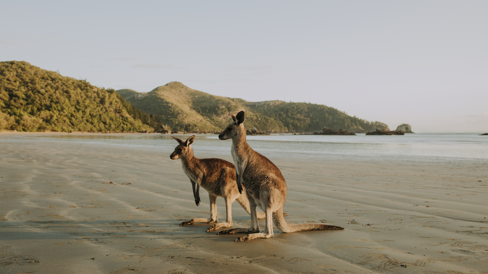 Discover Mackay Isaac | Explore | Mackay Isaac Tourism