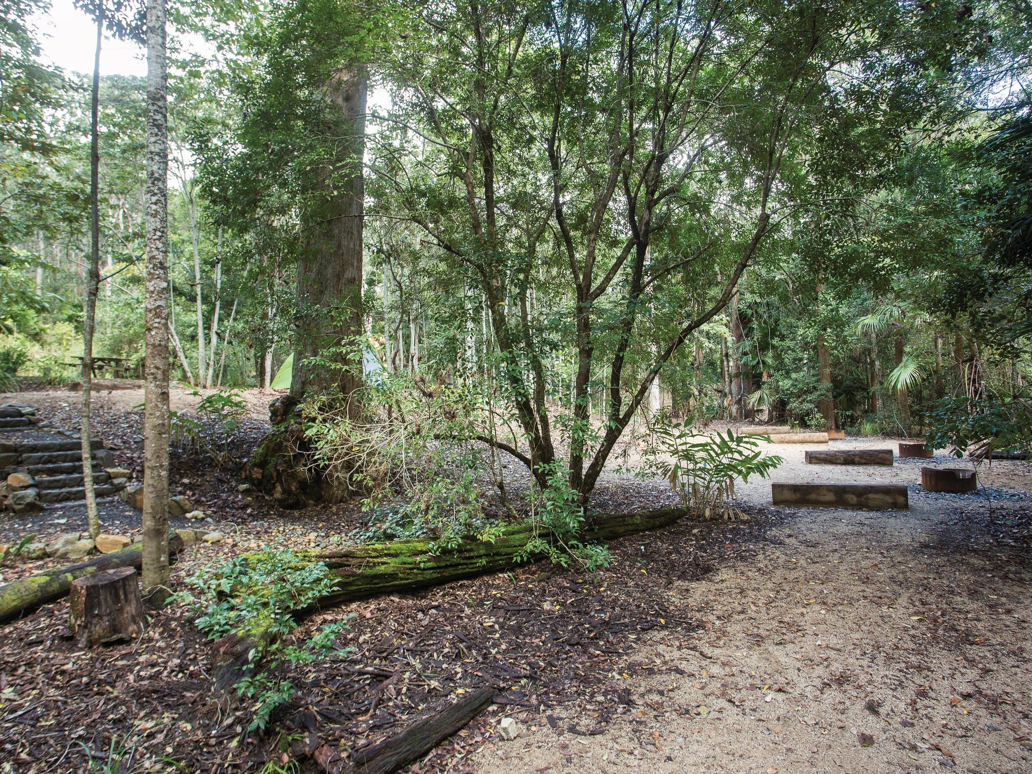 Mackay Isaac Region - Eungella National Park camping